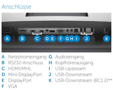 Dell P4317Q Displays online kaufen NBB